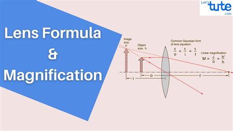 What Is Magnification And Its Formula At Samuel Skeyhill Blog What Is Magnification And Its Formula At Samuel Skeyhill Blog