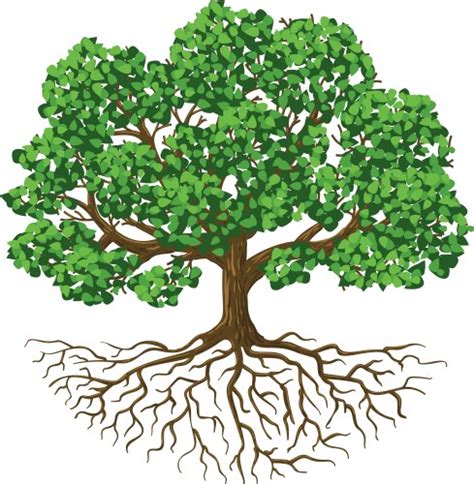 Tree Of Life Vector Images Over 100 000