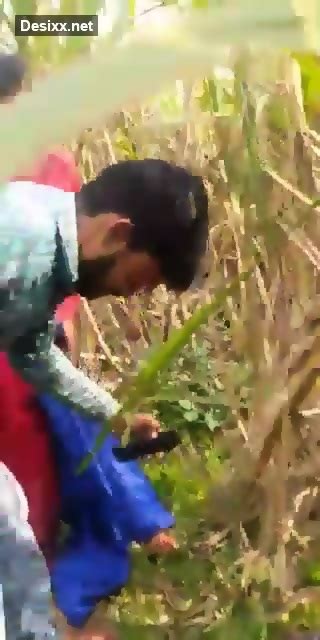 Desi Couples Caught Hindi Audio Eporner