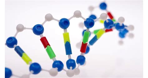 Китайски учени разработиха прецизен инструмент за редактиране на гени 24 Здраве