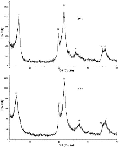 X Ray Diffraction Patterns Of By 1 And By 2 Samples M Download Scientific Diagram