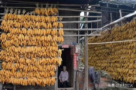 祖傳老宅的宅基地到底是祖業還是村集體土地？別搞錯了 每日頭條