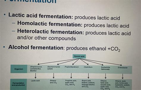 Answered Lactic Acid Fermentation Produces Lactic Acid Homolactic Kunduz