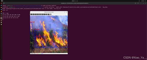 Yolov8在rk3588上进行自定义目标检测 二 Rk3588 Yolo的输出 Csdn博客