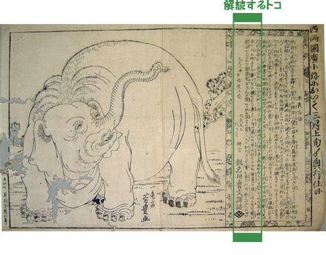 象の特徴 象見世物かわら版その3 古文書ネット