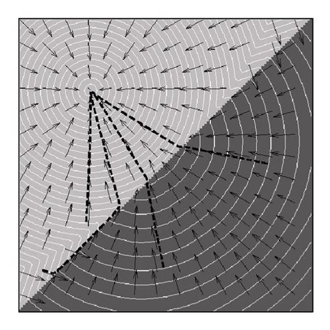 Example Geodesics In A Double Isotropic Space Black Arrows Show The