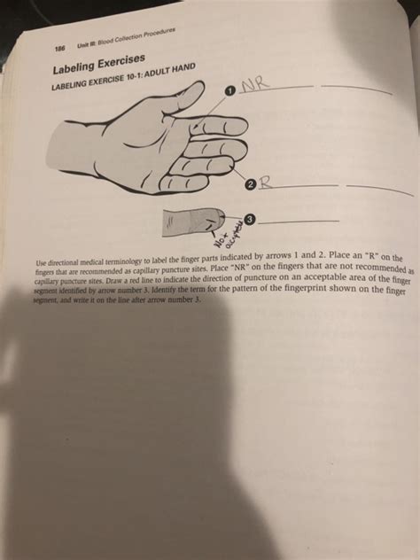 Solved Labeling Exercises Labeling Exercise 10 1 Adult Hand