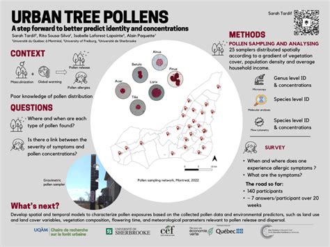 PDF Urban Tree Pollens A Step Forward To Better Predict Identity And Concentrations