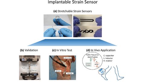 Innovative Stretchable Strain Sensors Show Great Potential For