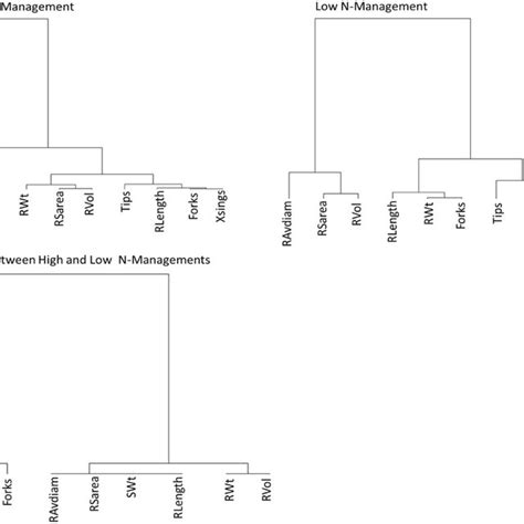 The Structure Of Genetic Correlations Between Traits Within And Between