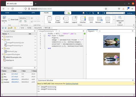 Using Matlab Through Docker Case Mri