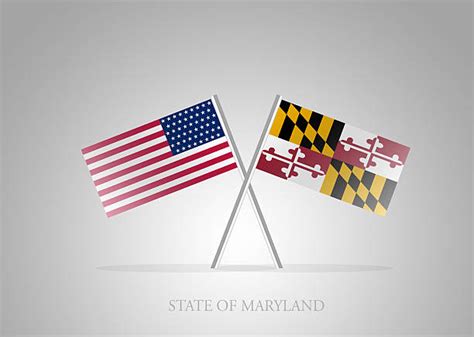 Royalty Free Maryland Flag Clip Art Vector Images And Illustrations Istock