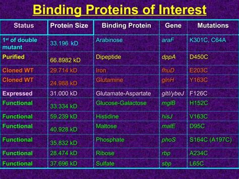 Bacterial Periplasmic Binding Proteins As Biosensors In Liposomes Ppt