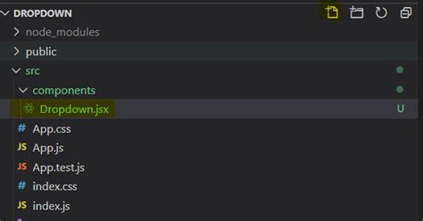 Build Your Own Custom Dropdown Menu That Displays The Users Selection