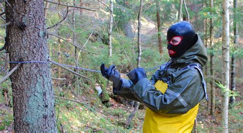 Spring Summer Projects Layers Felled Ii By Mmmp9 On Deviantart