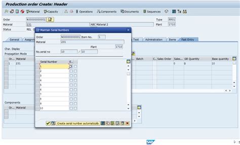 Sap Serial Number Configuration Sap Serial Number Configuration