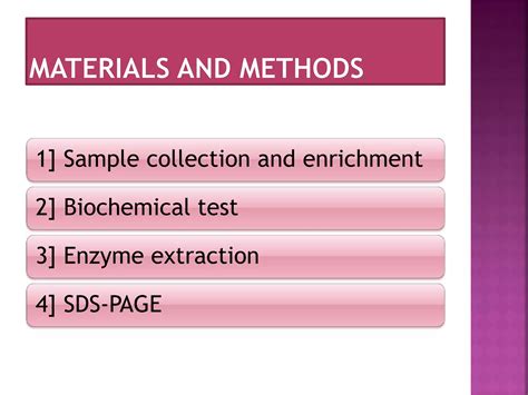 “production And Optimization Of Lipase From Bacillus Subtillis” Ppt