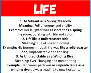20 Best Similes For Fast With Meanings Examples EngDic