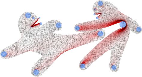 Locally Injective Mappings