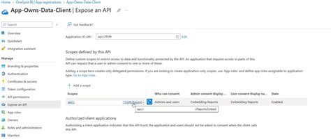 Powerbi App Owns Data Application Api Custom Sco Microsoft Fabric Community