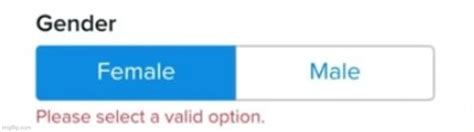 Please Select A Valid Option Blank Template Imgflip