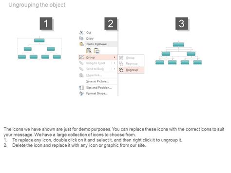 Organizational Complexity Ppt Sample Graphics Presentation