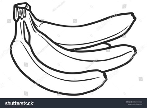 Bananas Black Outline Illustrations Set Tropical Stock Illustration