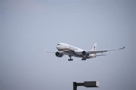 星宇航空讓旅客滯留日本 民航局：若違規依法開罰 生活 中央社 Cna