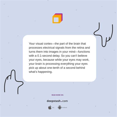 Your Visual Cortexthe Part Of The Brain That Processes Deepstash