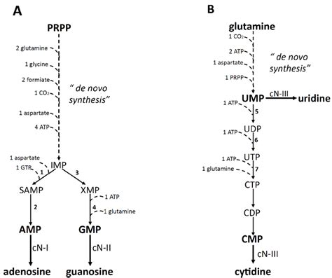 De Novo Synthesis Astonishingceiyrs