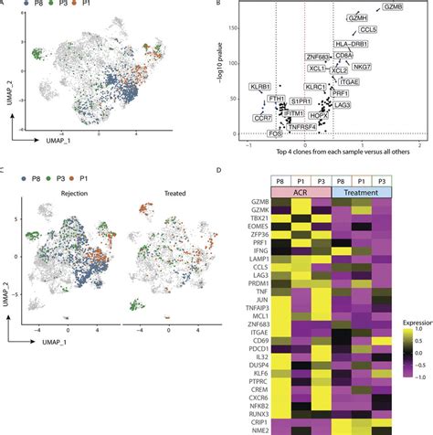 Transcriptional Reprogramming Of Lung T Rm Cells After High Dose