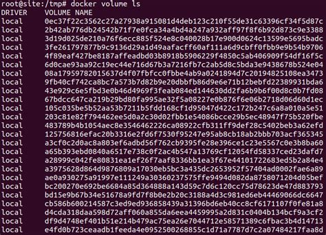 Corriger Les Volumes Temporaires Avec Les Volumes Docker