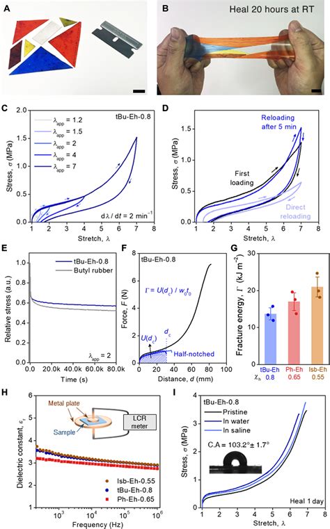Glass Transition Temperature As A Unified Parameter To Design Self Healable Elastomers Science