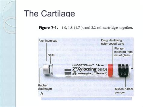Technique Of Mandibular Anesthesia Pptx