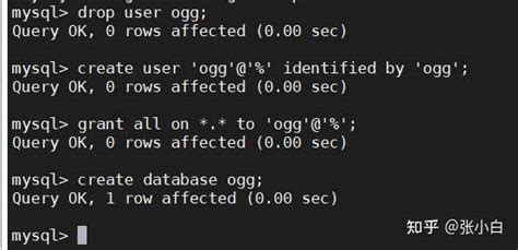 张小白教你使用OGG实现Oracle C到MySQL 的数据同步 云社区 华为云