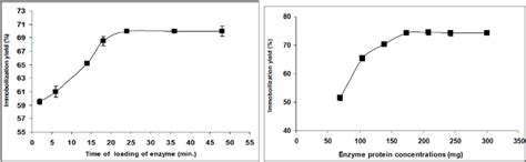 Evaluation Of Different Loading Time A And Enzyme Protein