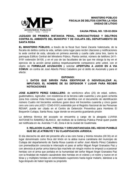 Ejemplo De Acusacion Pdf Derecho Penal Ley Procesal
