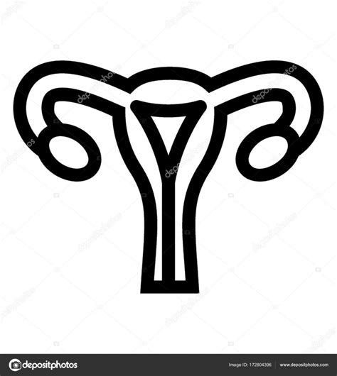 Excretory System Vector Illustration Vectormine