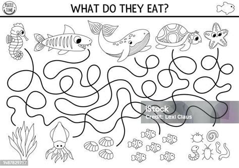 바다 아래 거북이 고래 상어 해마가 있는 아이들을 위한 흑백 미로 물고기 음식으로 오션 라인 유치원 인쇄 가능한 활동 물 미로