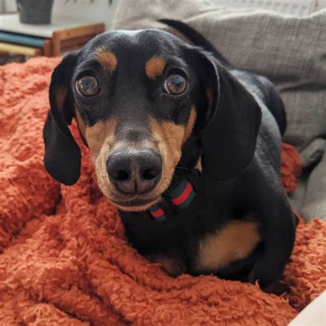 Nonlinear Programming Problem In Operational Research Math Preparation