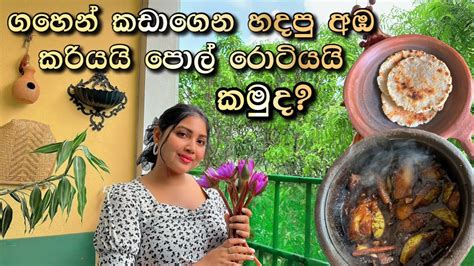 තව ටිකෙන් වැටෙනවා ගහෙන් කඩාගෙන හදපු අඹ කරිය එක්ක පොල් රොටී Mango