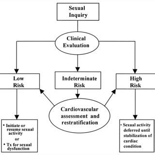 Sexual Activity And Cardiac Risk A Simplified Algorithm Tx Therapy Download Scientific Diagram