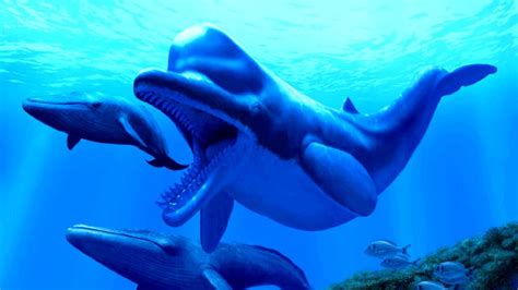 19 Extinct Whales That Were Larger And Stranger Than Anything Alive