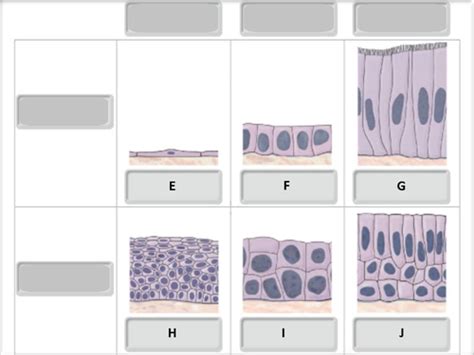 API Lab Ch 3 PPT Q S Flashcards Quizlet