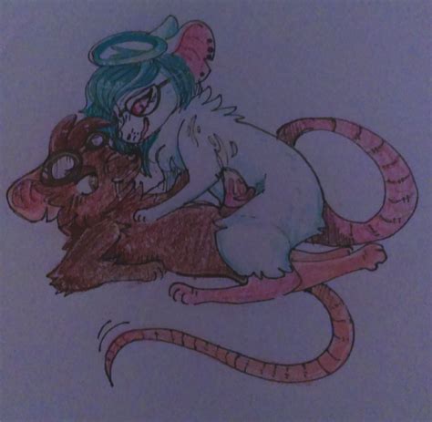 Rule 34 Cum Invalid Tag Libbyslover Mammal Masturbation Mouse Orgasm Penis Rodent Saltpup Tfm