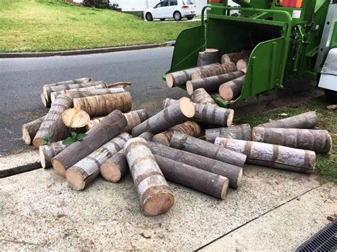 Tree Maintenance And Removal Arborist Experts In Brisbane