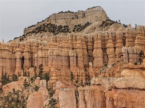 무료 사진 절벽 돌 바위 캐년 요새 사막 사암 자연 침식 야외에서