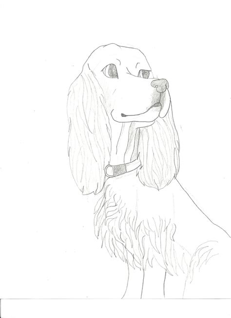Pooch The American Cocker Spaniel By Disneygirlforever2 On Deviantart
