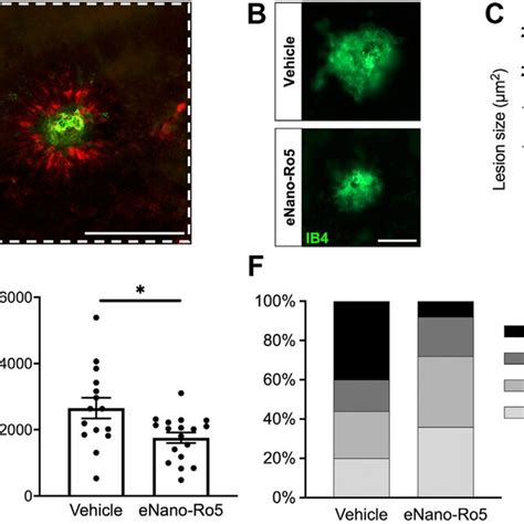 Modulation Of Runt Related Transcription Factor 1 Runx1 With