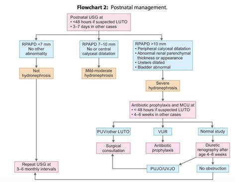 Approach And Management Of Pediatric Hydronephrosis Epomedicine